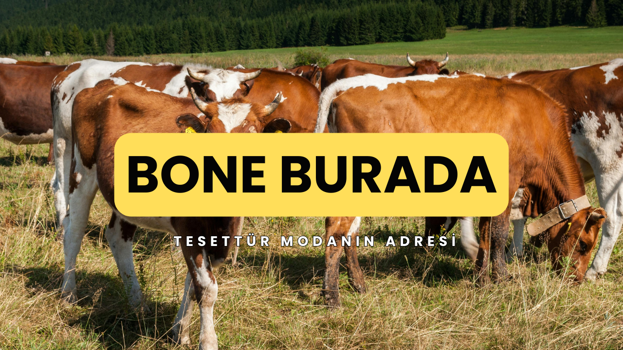 Adak Nasıl Adanır? Yanlışlıkla Adak Adamak Günah mı?